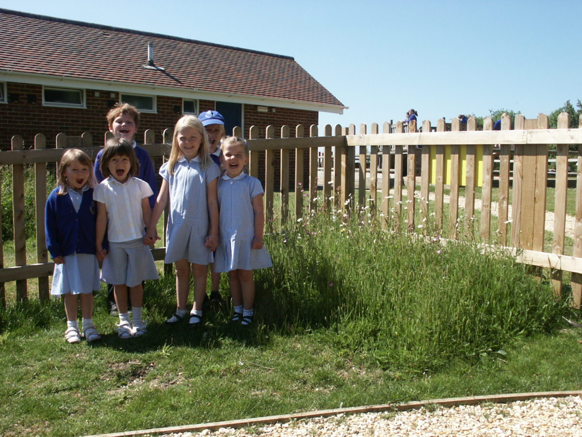 Creating wildflower environments in schools and colleges - Wildflower Turf