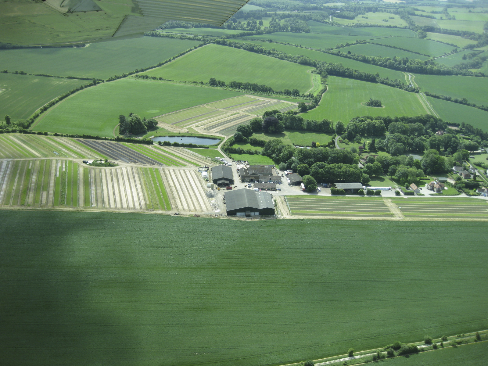 A morning of Wildflower Landscapes with the Biodiversity Experts ...
