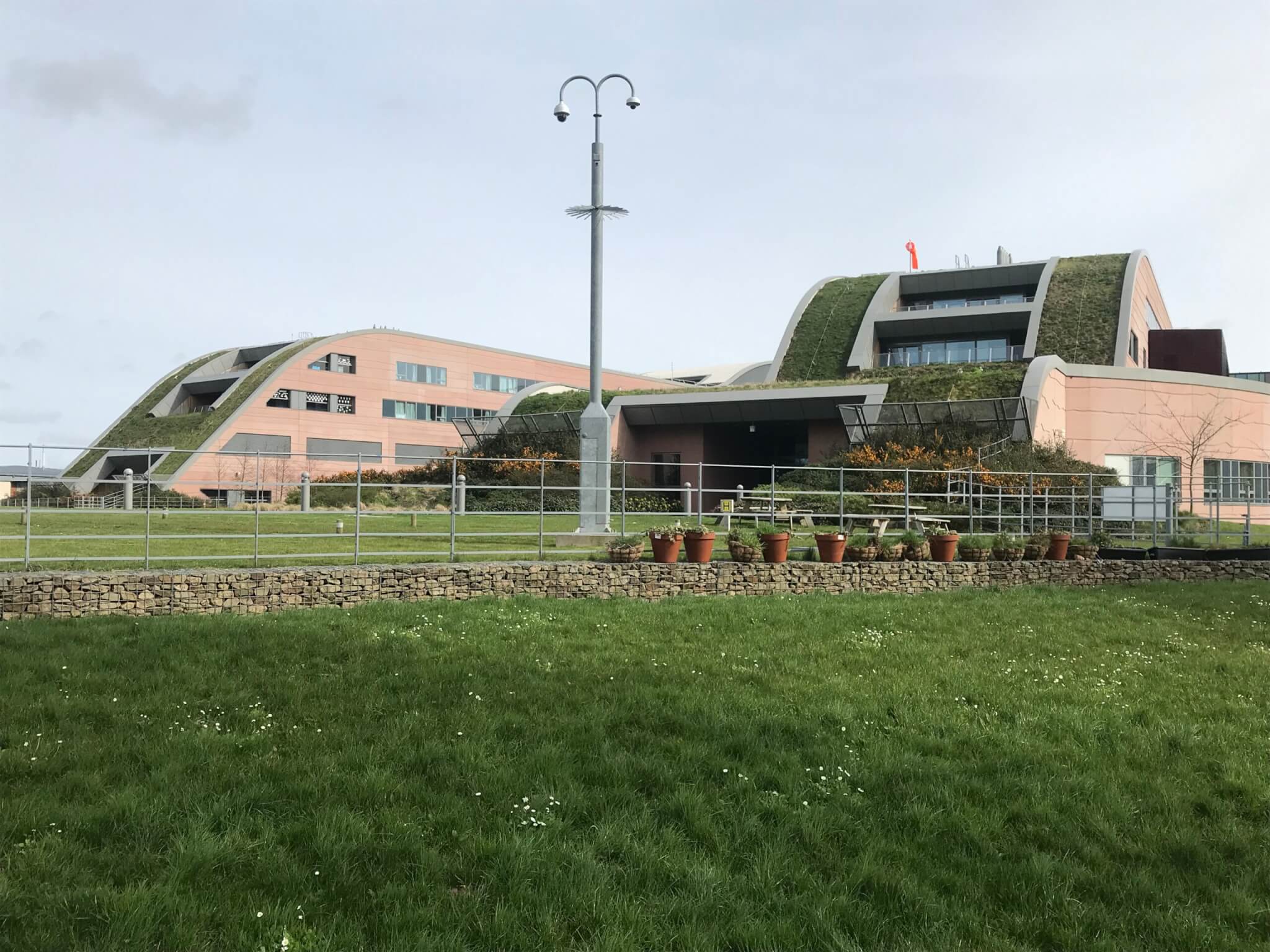 Alder Hey Children’s Hospital - Wildflower Turf