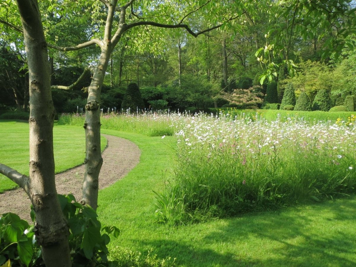 Wildflower Turf Demand in Europe. - Wildflower Turf