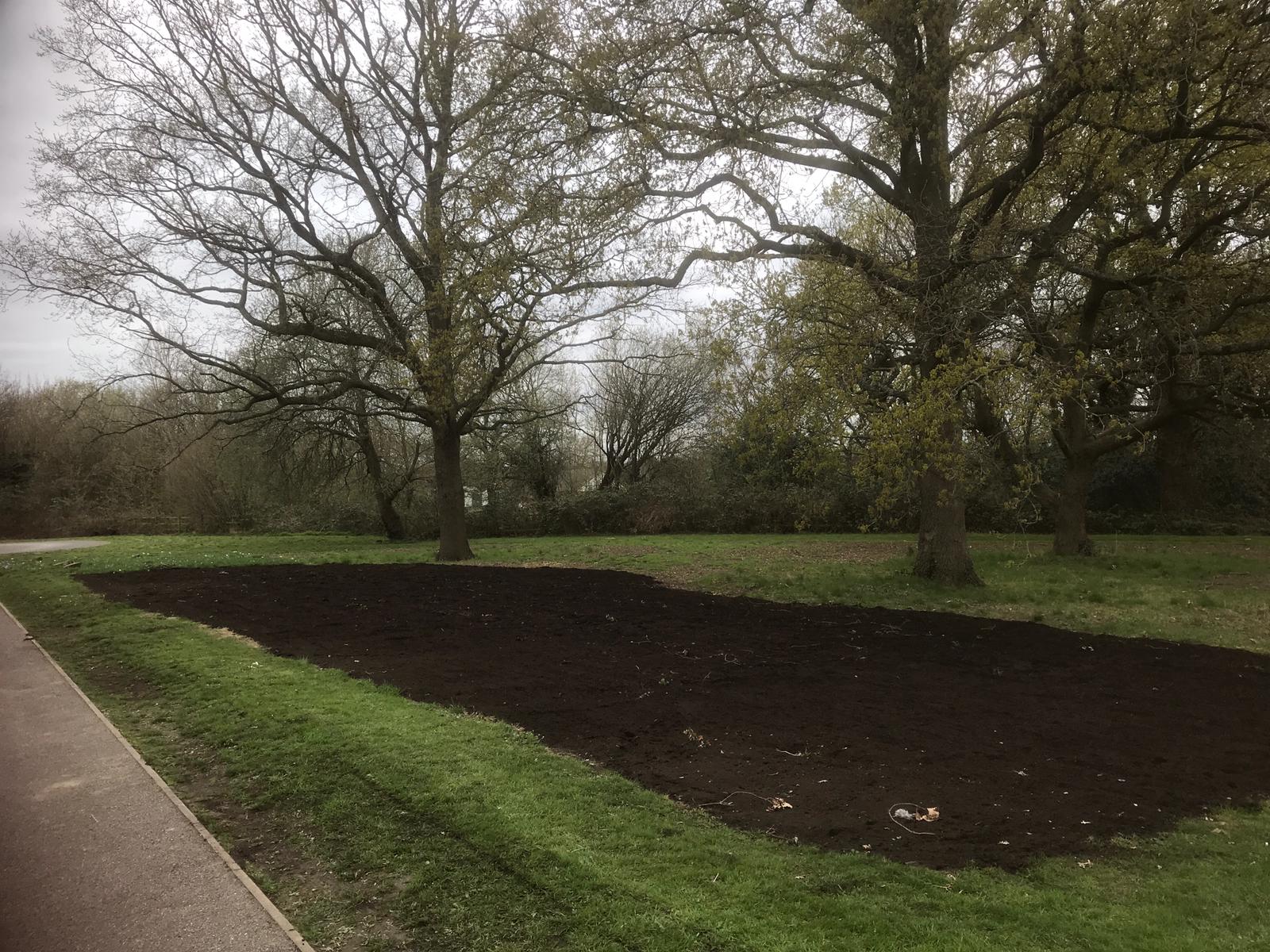 Elmbridge Borough Council - Update - Wildflower Turf