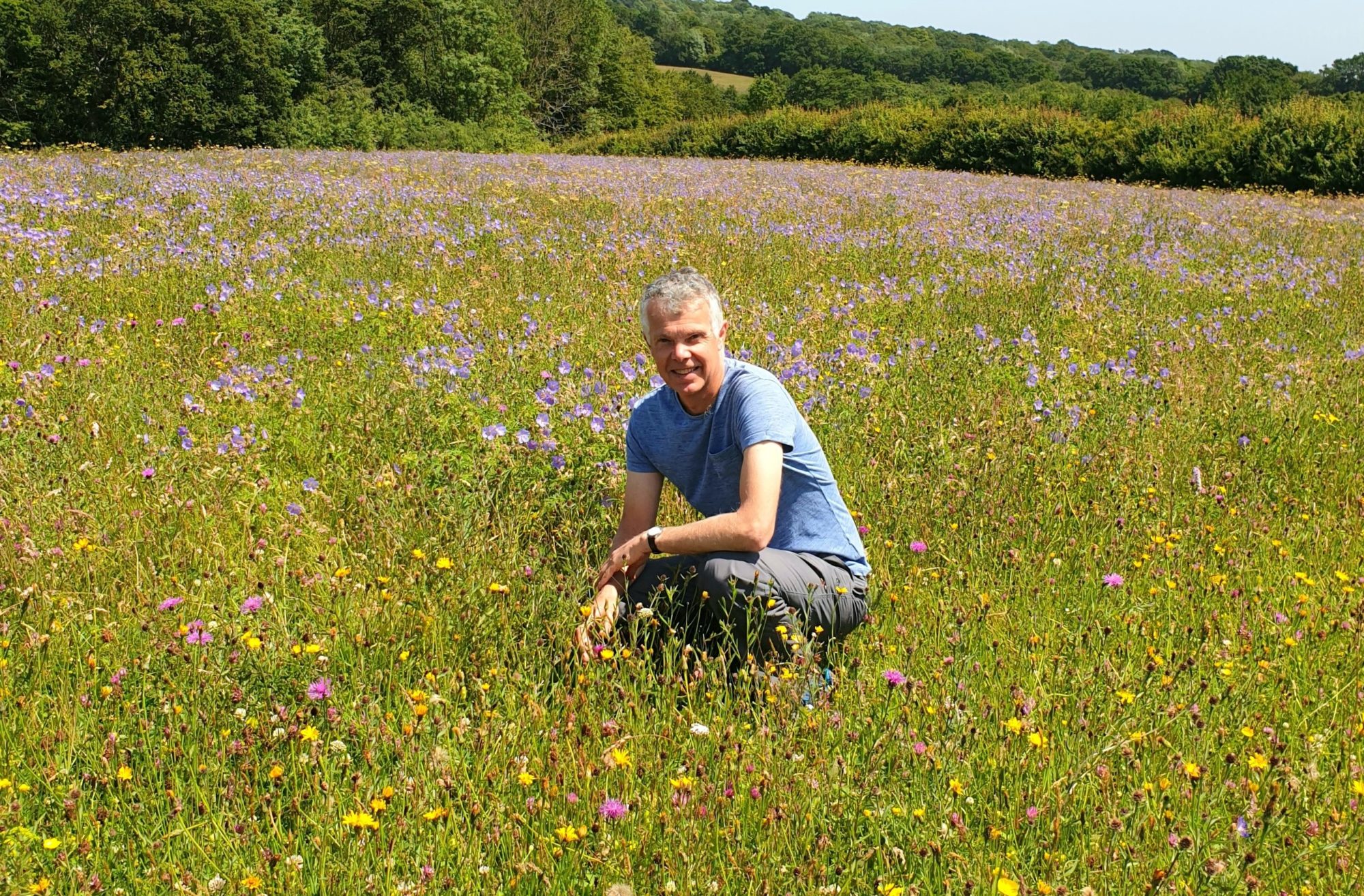 Colin Reader - Our Featured Partner - Wildflower Turf