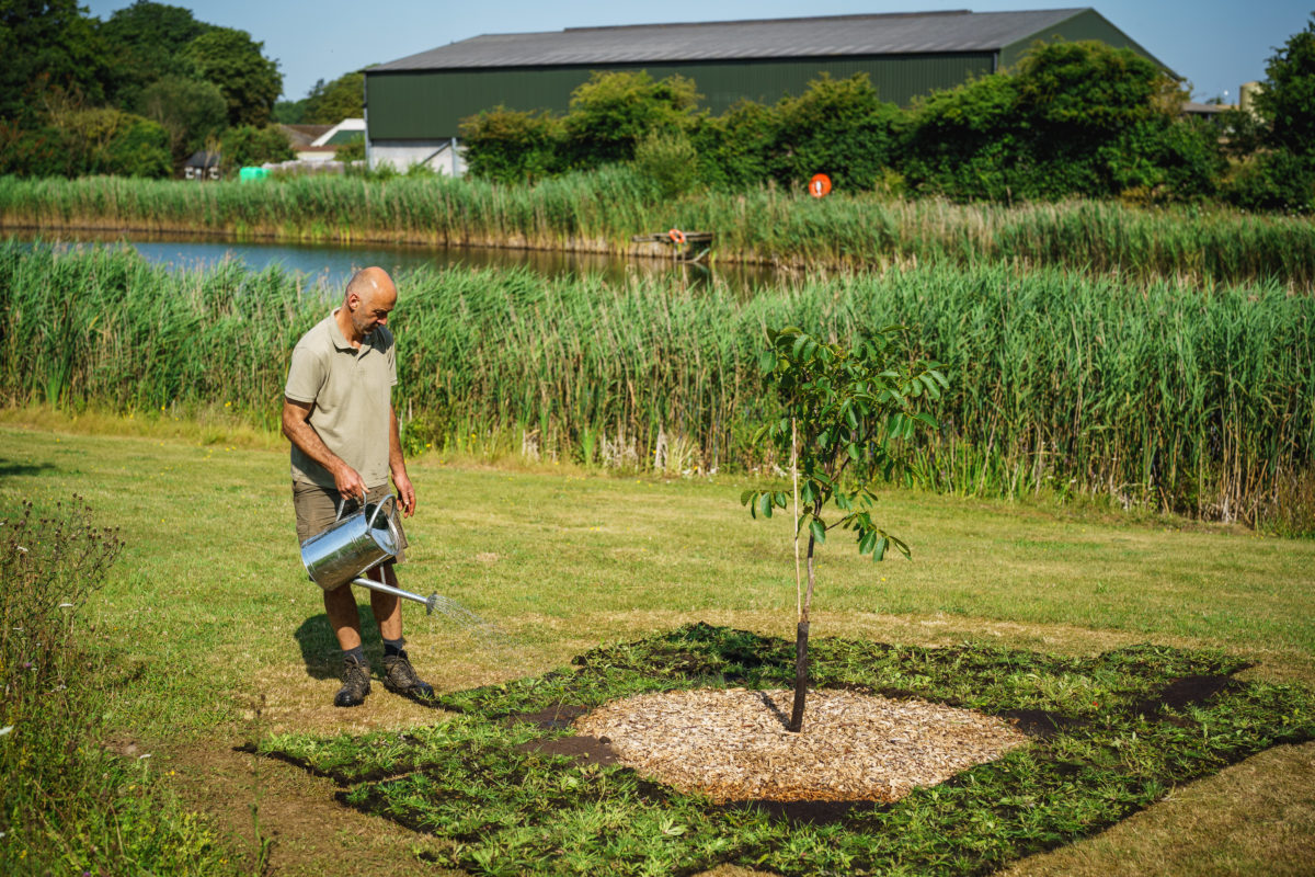 Wildflower Turf Finisher - Wildflower Turf