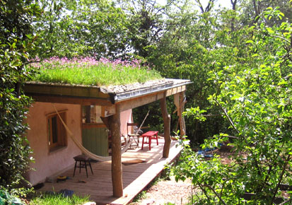 Green Roof Wildflower Turf® - Wildflower Turf