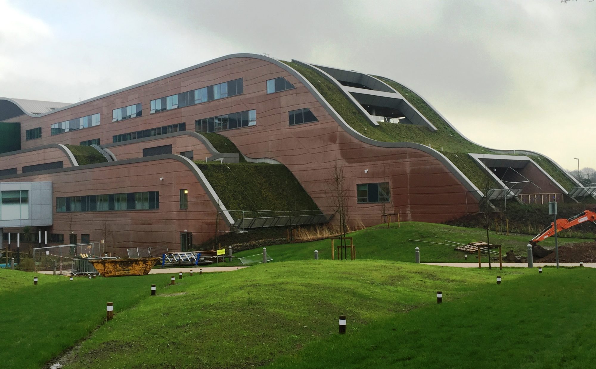 World Green Roof Day - Wildflower Turf