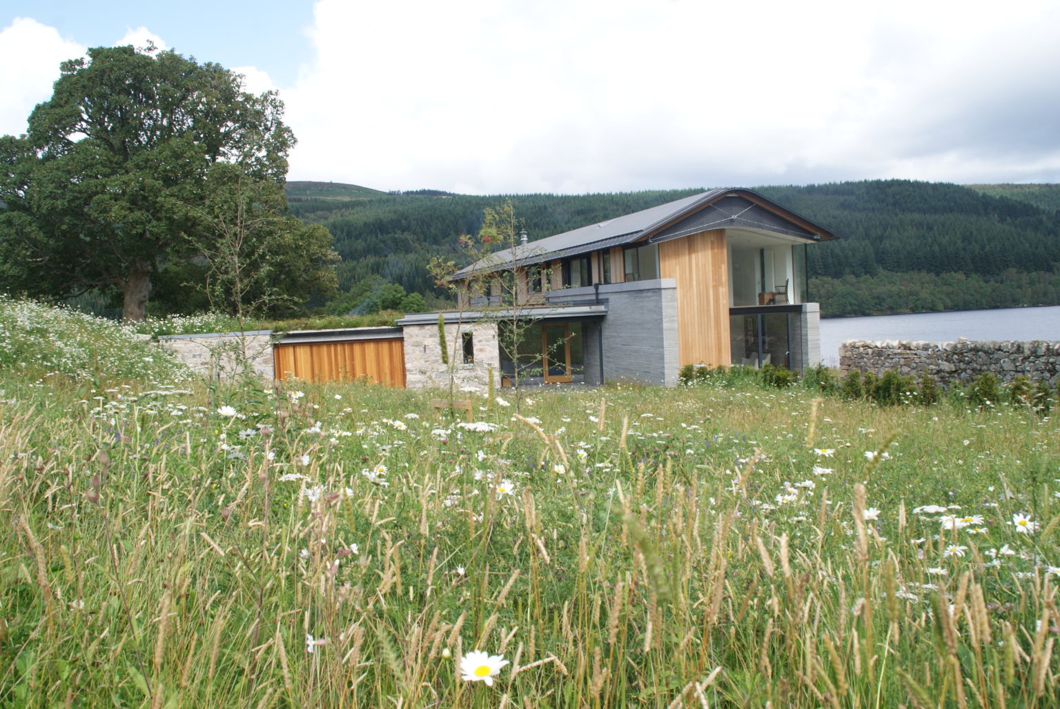 Landscape 34 - Wildflower Turf