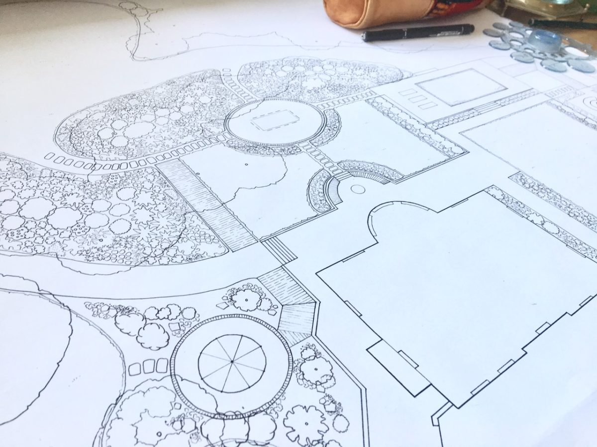 Wildflowers in Urban Design – Eliza Nicholas, founder of Rocket Garden ...