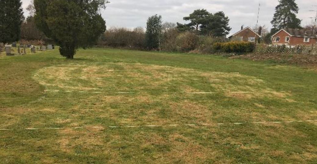 Eashing Cemetery Wildflower Trials - Wildflower Turf