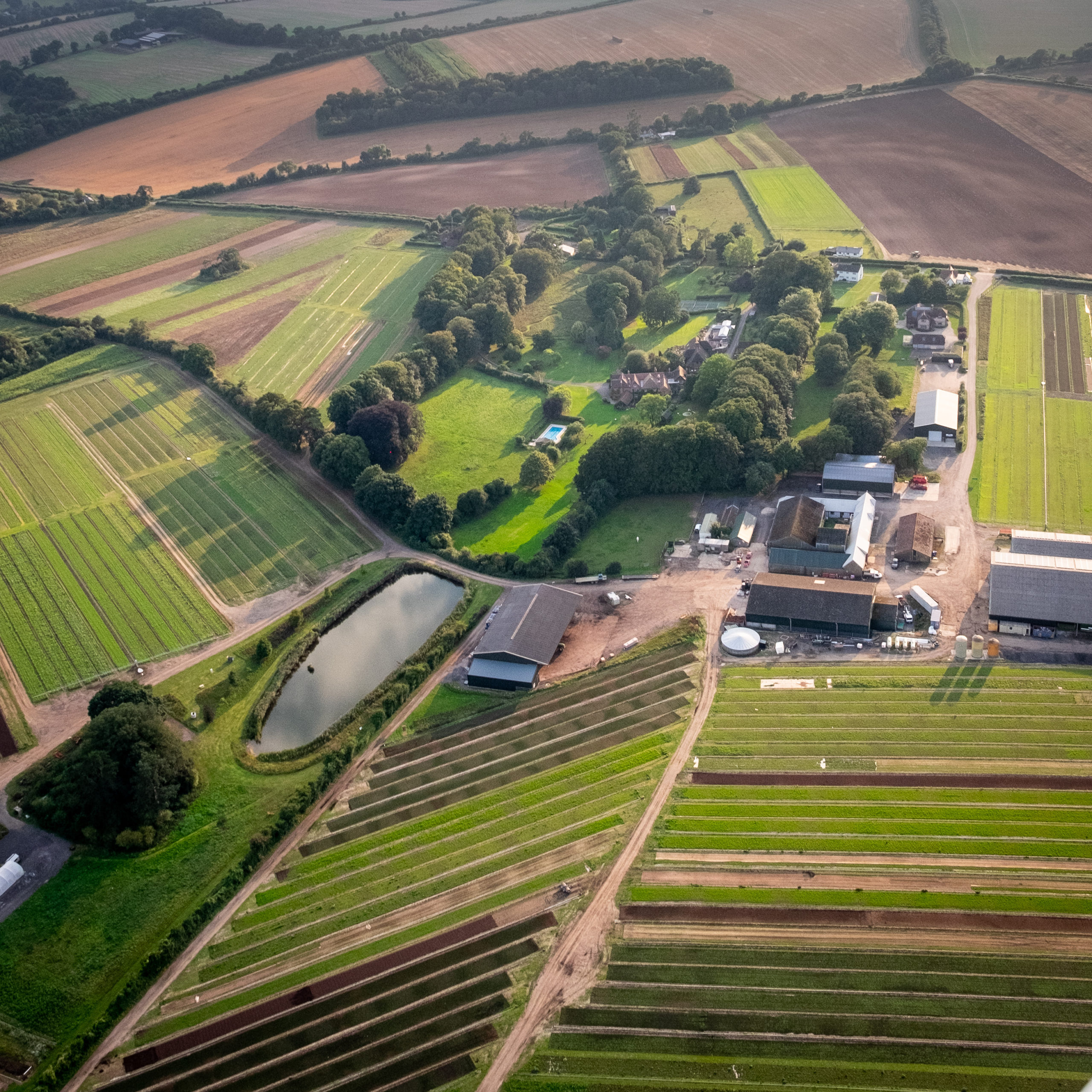 Meet the Team - Nigel Smith - Wildflower Turf