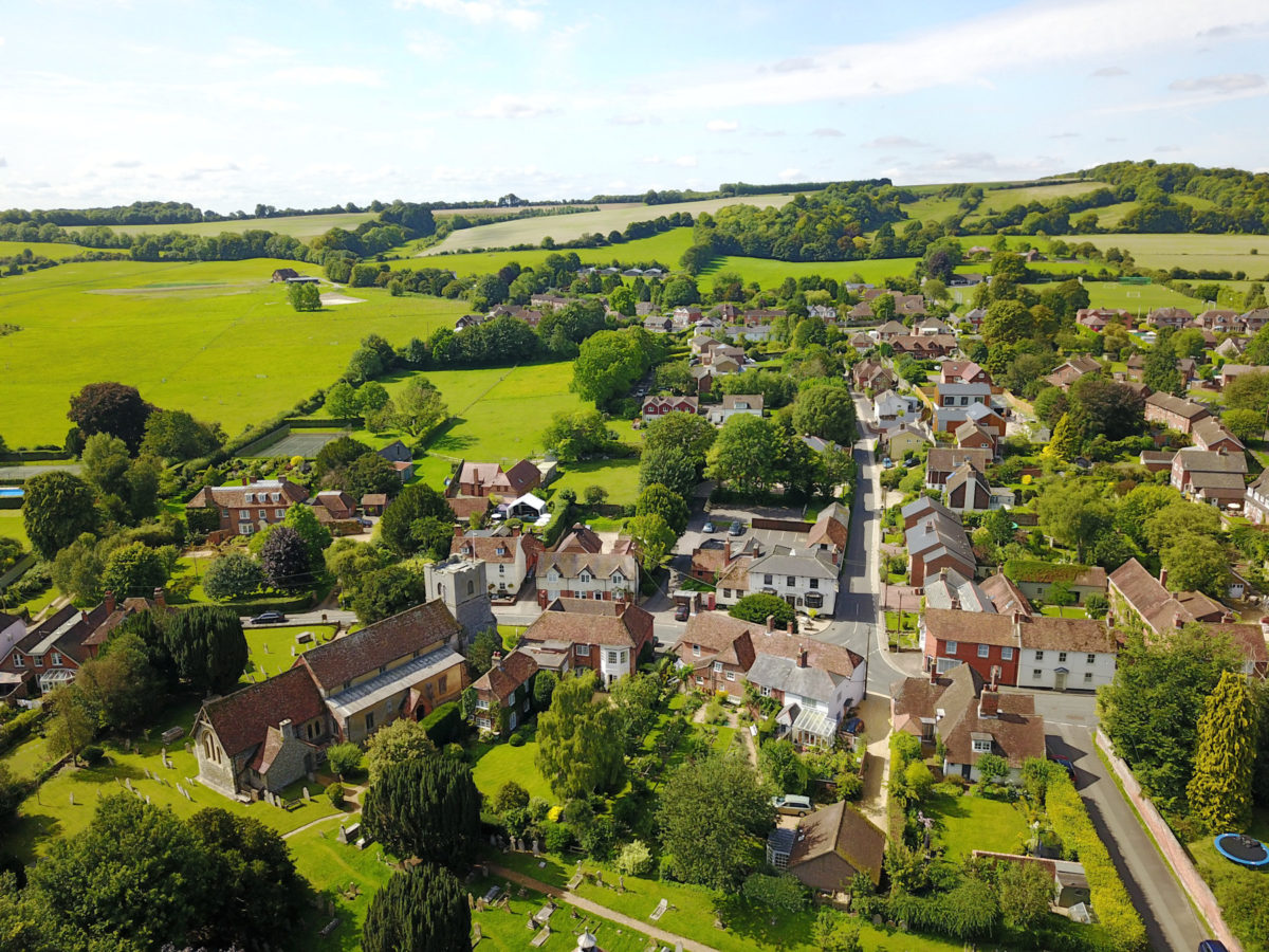 The Wild Power of Community - Wildflower Turf