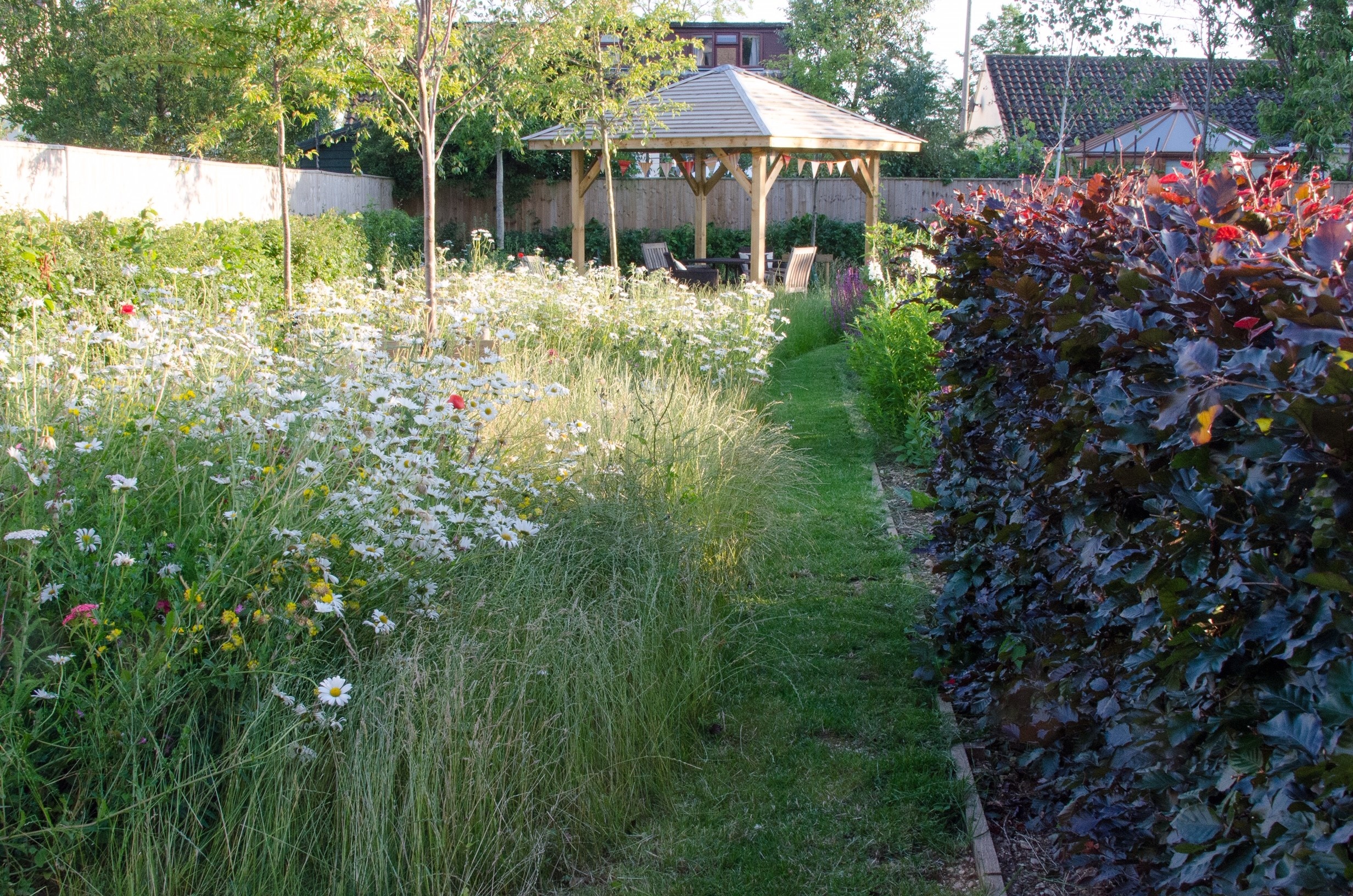 The Trend For Wild - Wildflower Turf