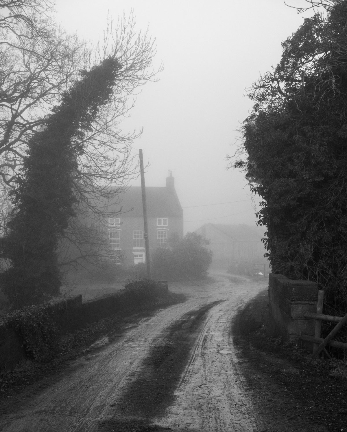 The Latest from Forge Farm - Wildflower Turf