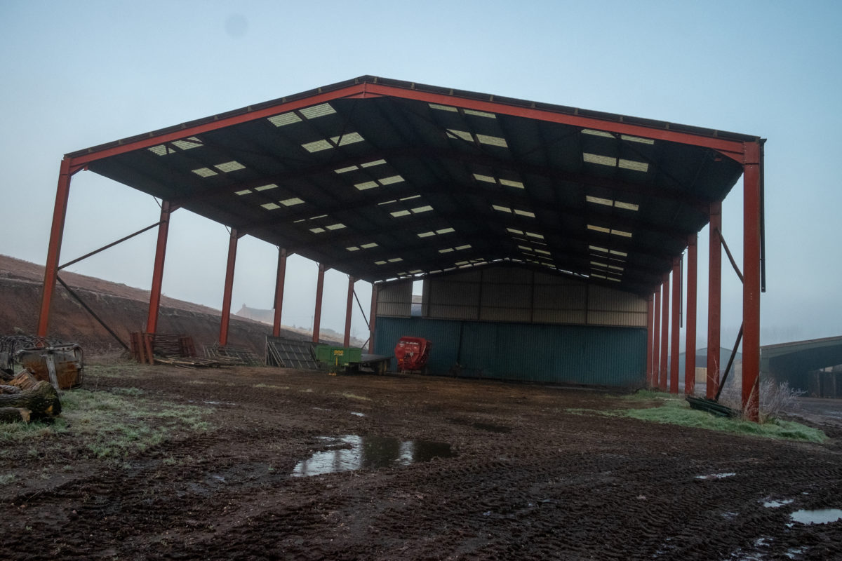 The Latest from Forge Farm - Wildflower Turf