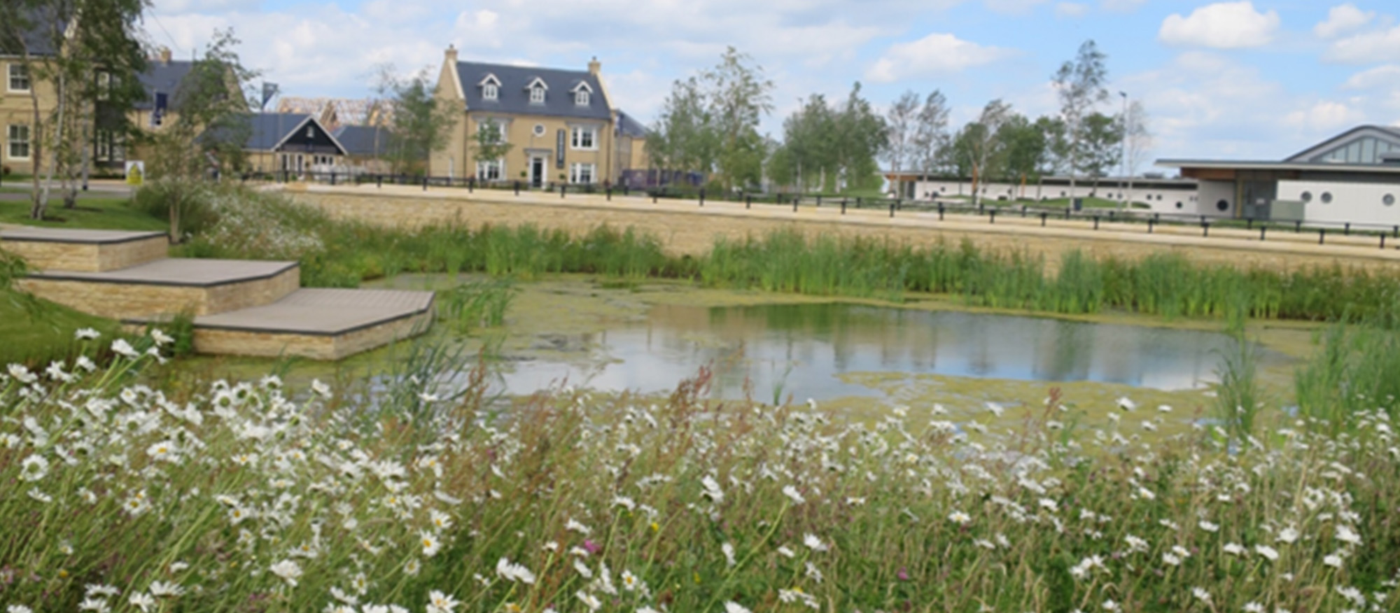 Consultancy - Wildflower Turf