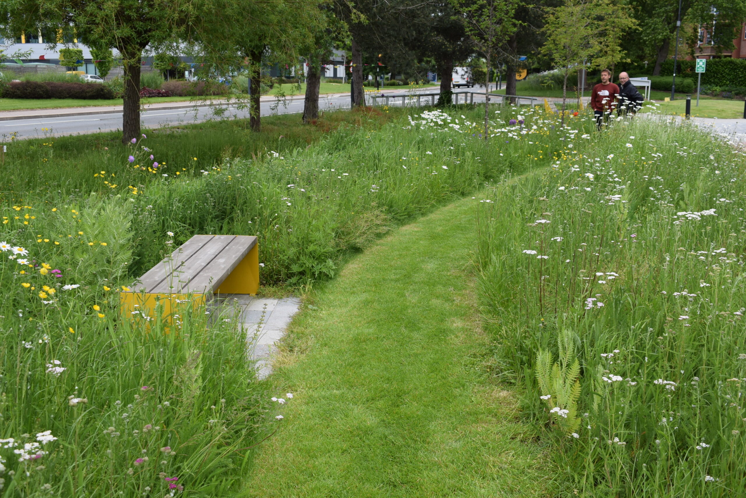 Consult the Experts - Wildflower Turf