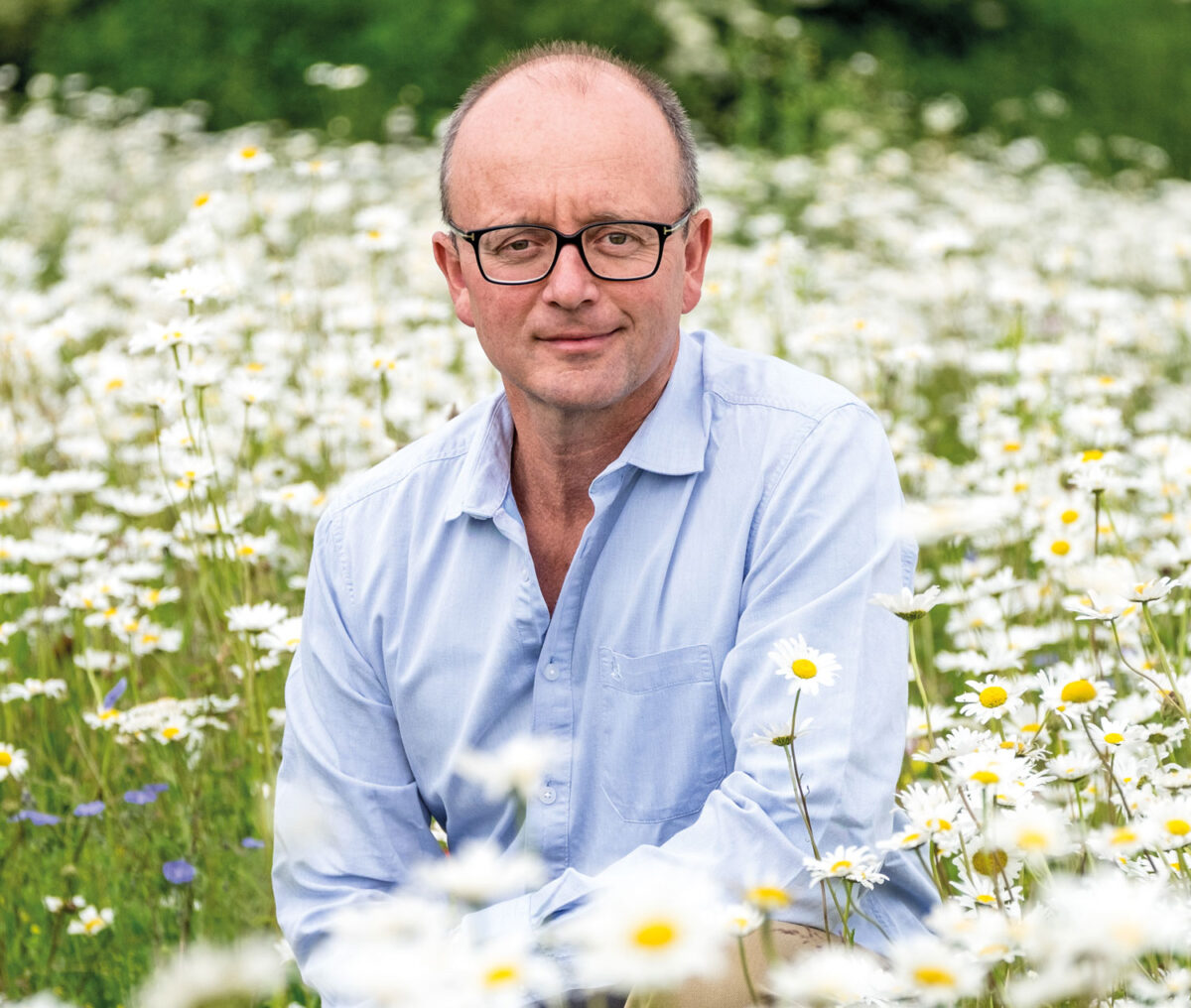 Consultancy - Wildflower Turf