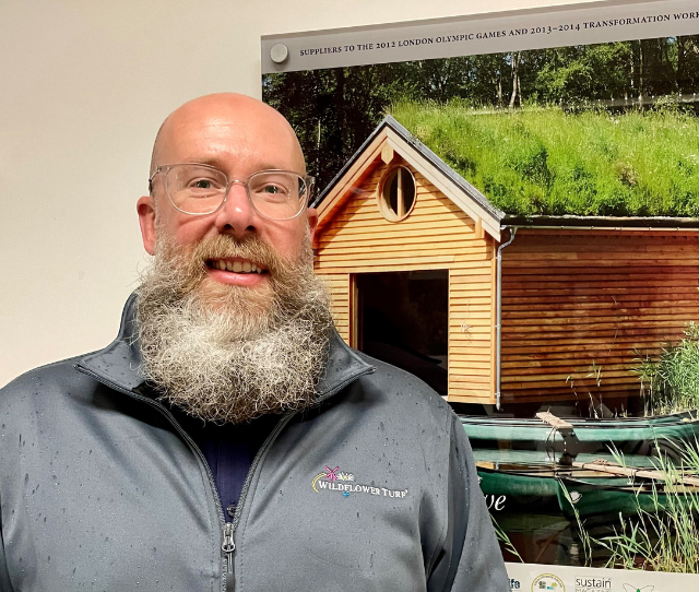 Consultancy - Wildflower Turf