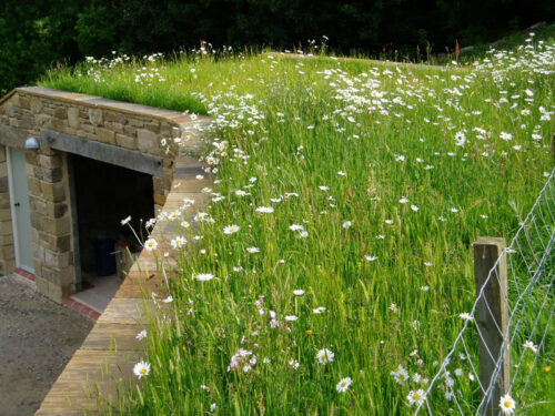 Biodiversity Net Gain (BNG) - Wildflower Turf
