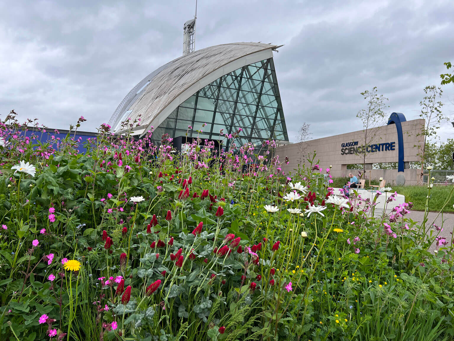MeadowSow™ Native Enriched - Wildflower Turf