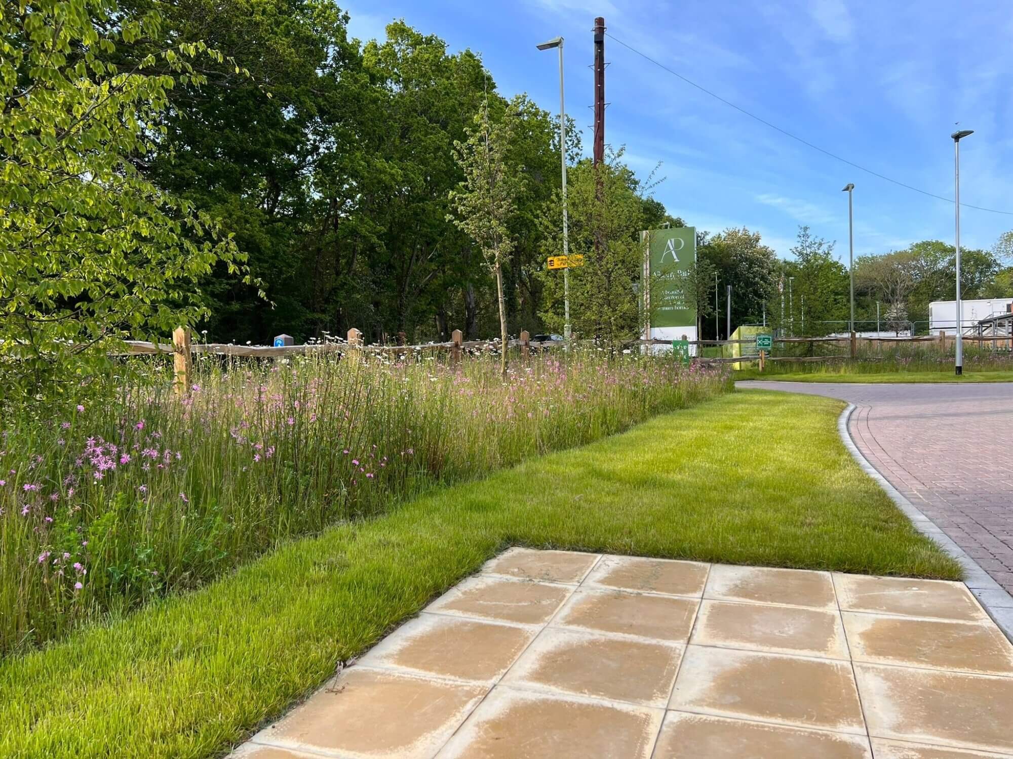 MeadowSow™ Landscape 34 - Wildflower Turf