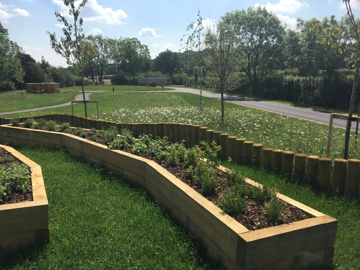 MeadowSow™ Landscape 34 - Wildflower Turf