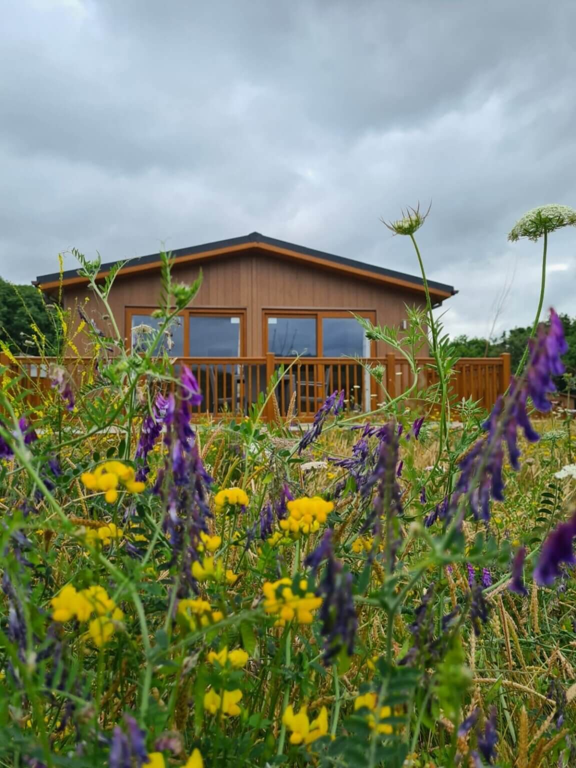 MeadowSow™ Landscape 34 - Wildflower Turf