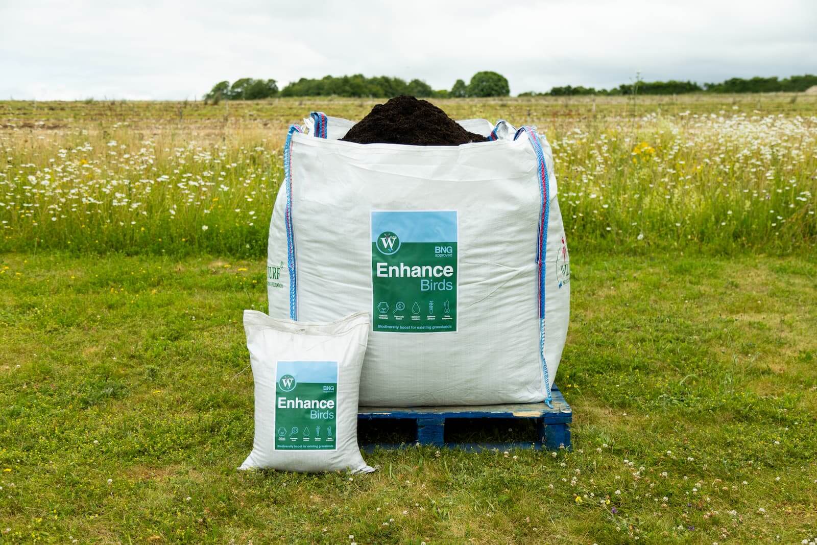 Enhance Birds - Wildflower Turf