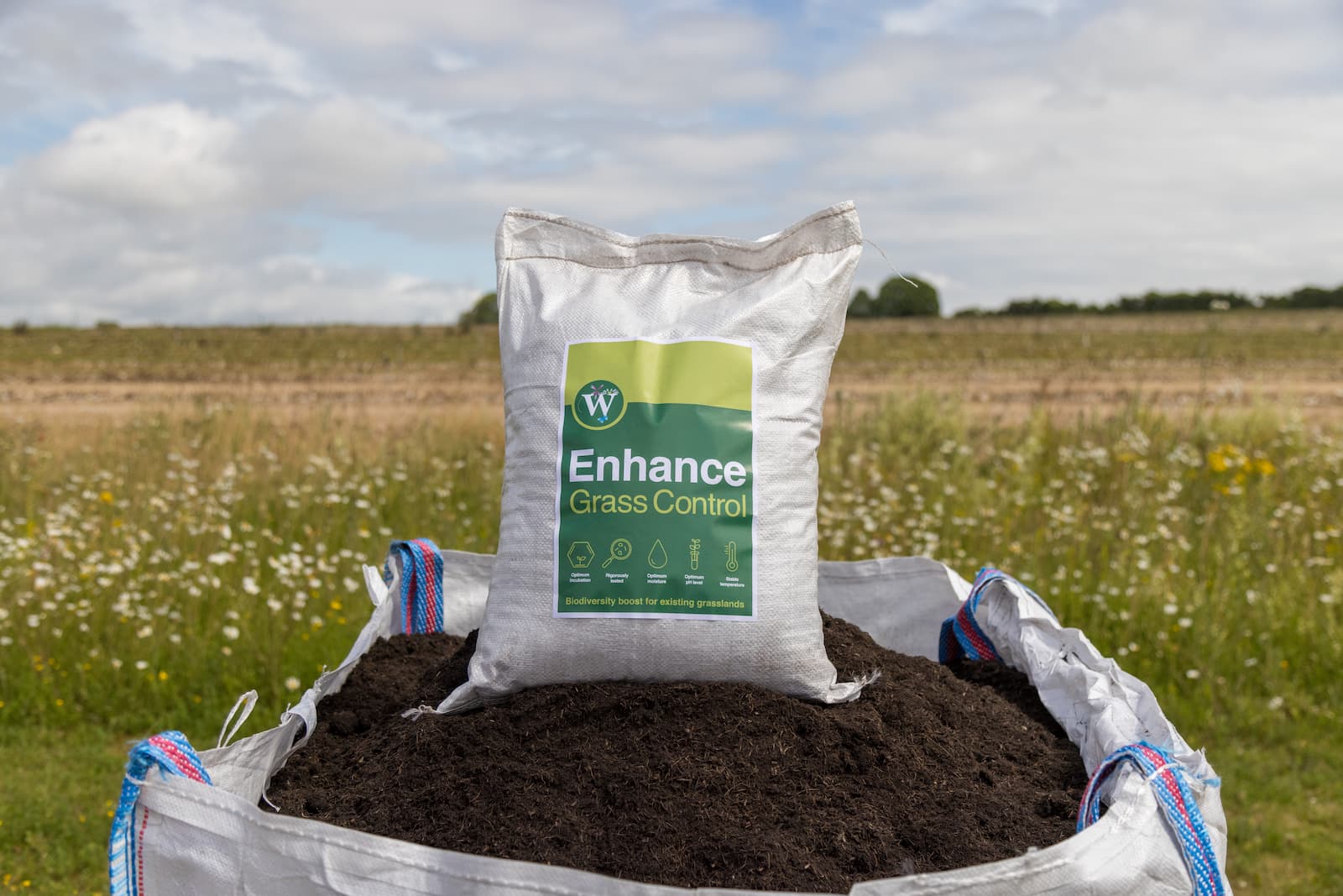 Enhance Grass Control - Wildflower Turf