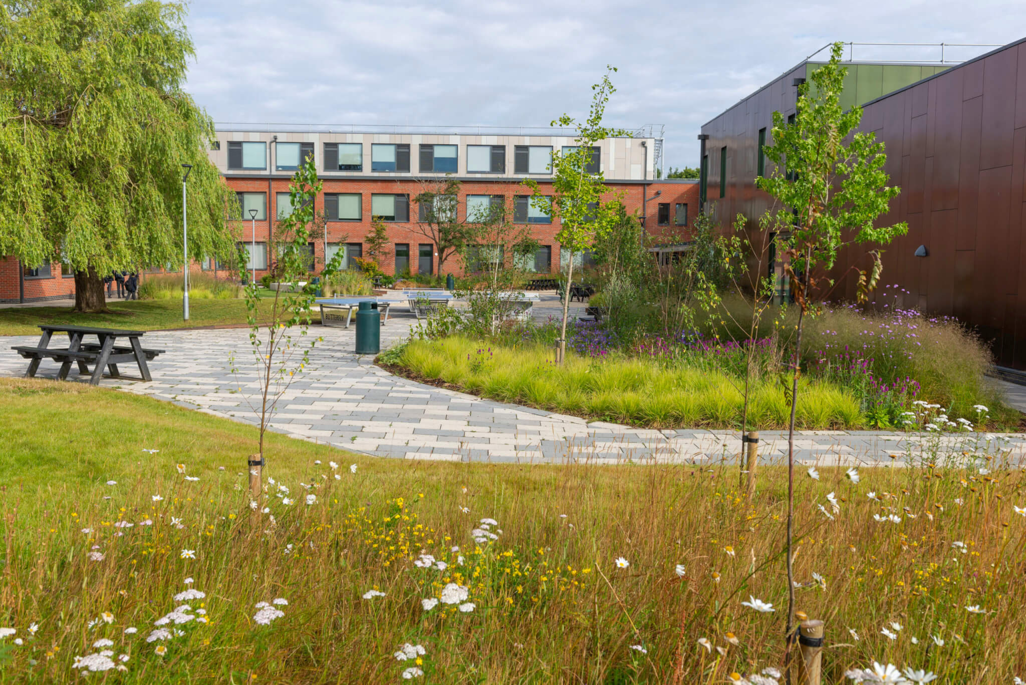 Merstham Park School - Wildflower Turf