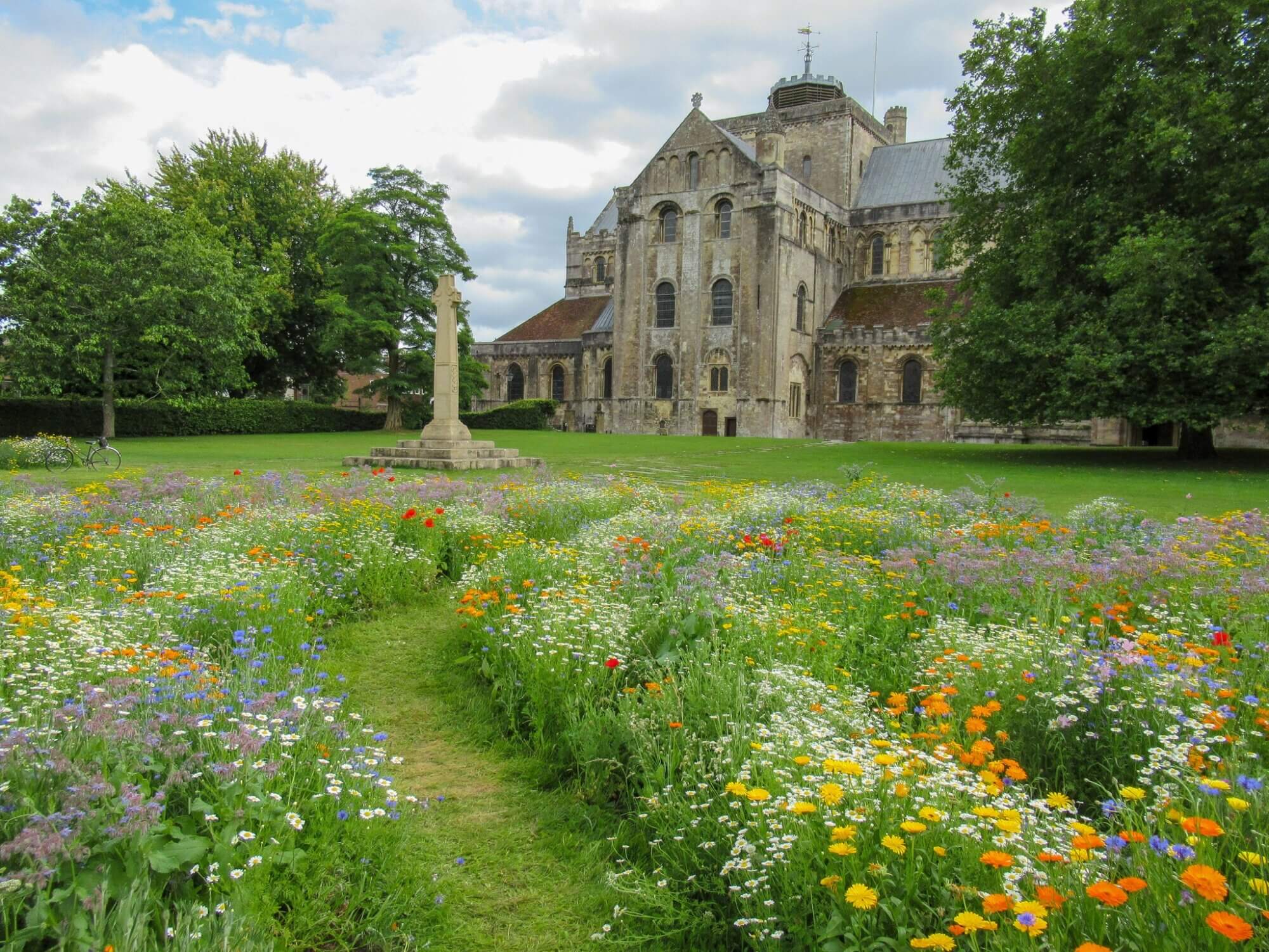 Beyond the Bloom: The Long-Term Benefits of Wildflower Turf ...